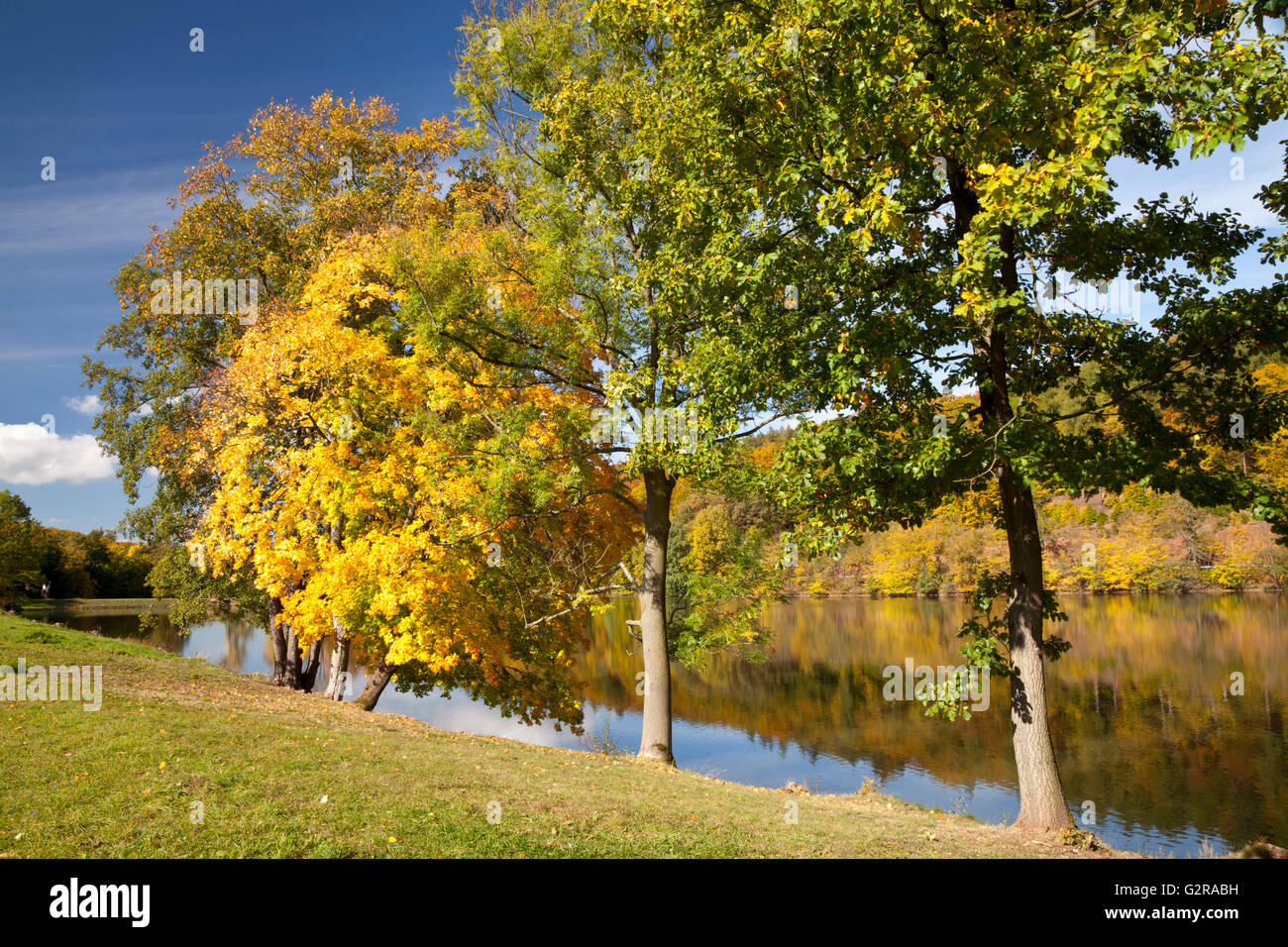 Autumn forest on Wilhelmsthaler Lake in Wilhelmsthal, Thüringer Wald ...