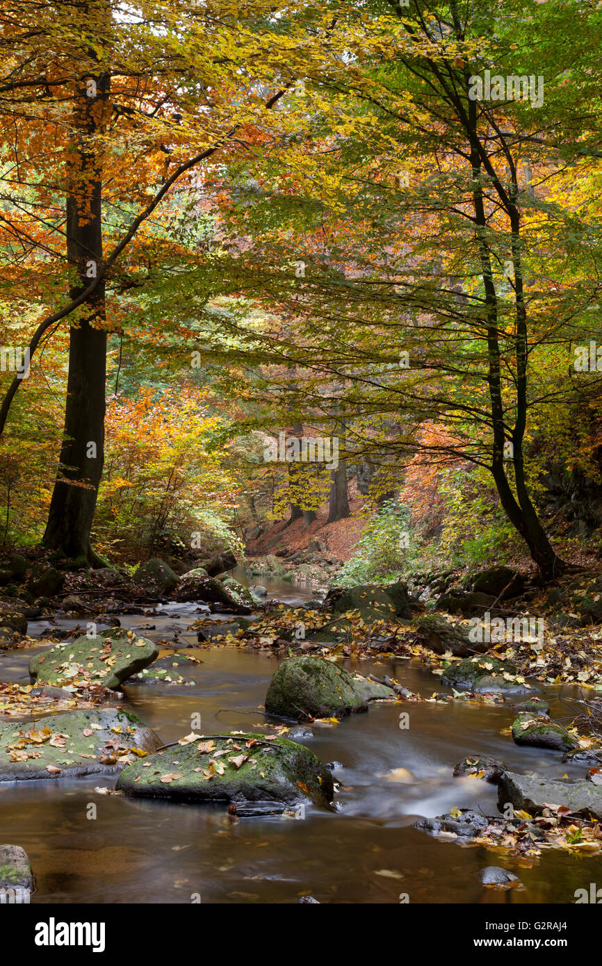 Nationalpark river hi-res stock photography and images - Alamy