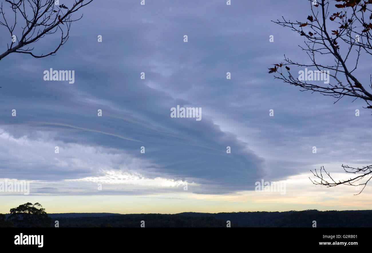 Trees woods stormy sky hi-res stock photography and images - Alamy