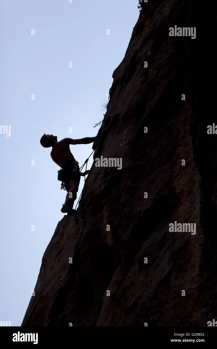 Velebit national park eagle hi-res stock photography and images - Alamy