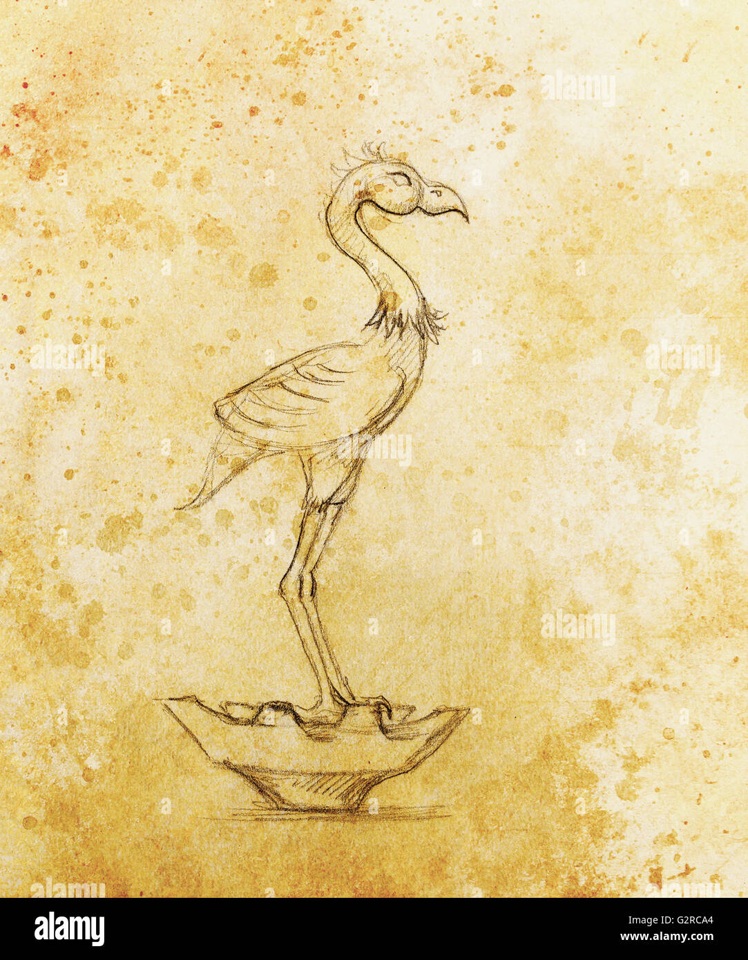 flamingo illustration. original drawing on paper. computer collage and ...