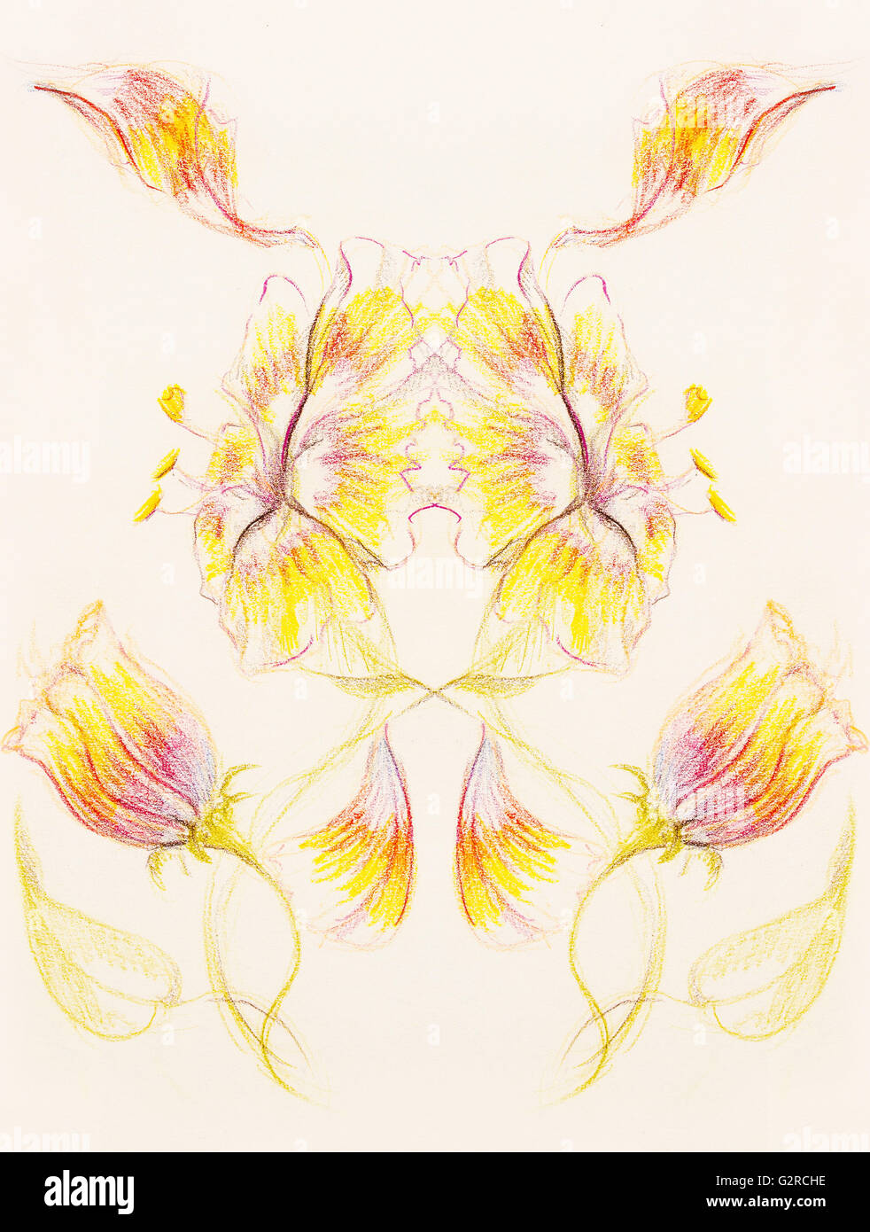 Color drawing flower. Original hand draw on paper Stock Photo - Alamy
