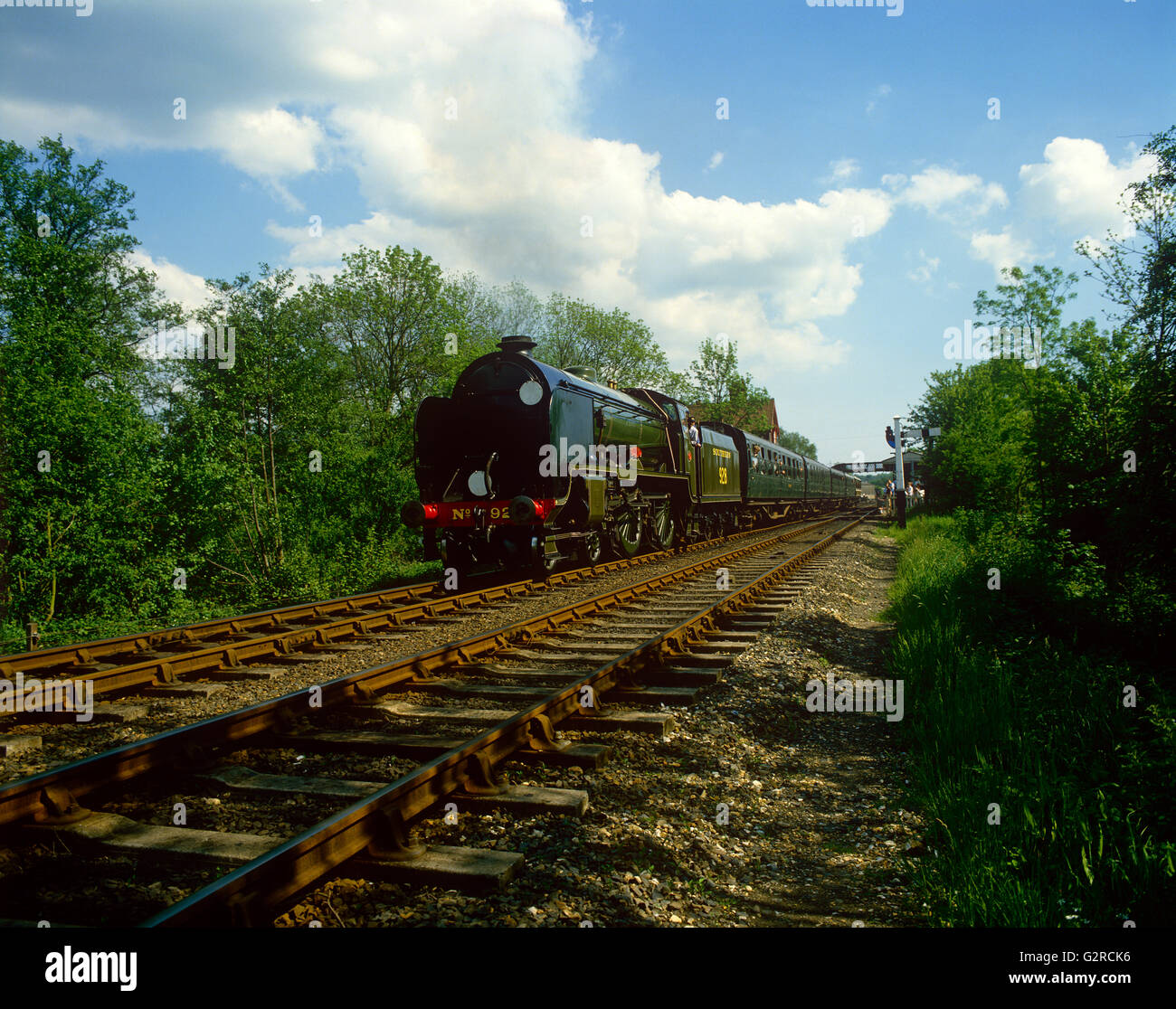 Photo of water rail hi-res stock photography and images - Alamy
