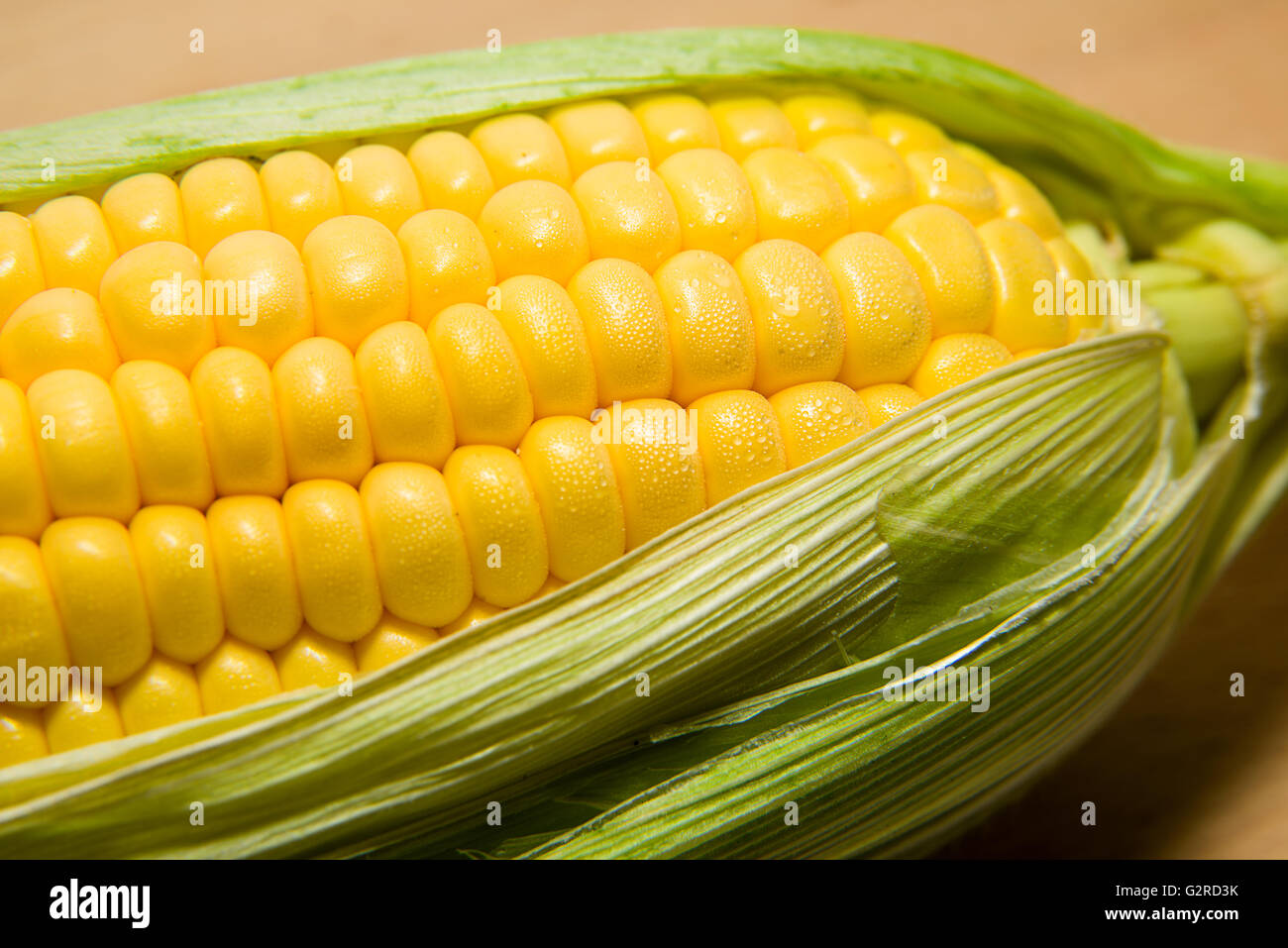 Seed ear hi-res stock photography and images - Alamy