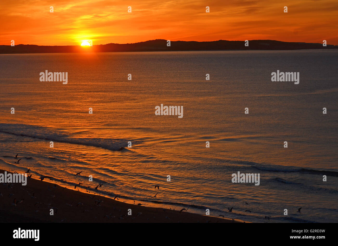South cronulla beach australia hi-res stock photography and images - Alamy