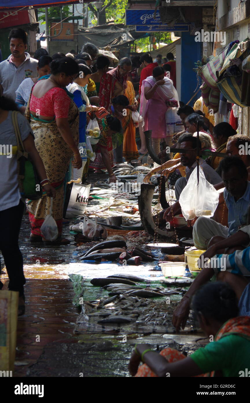 Roadside Fish market in Kolkata, India Stock Photo - Alamy