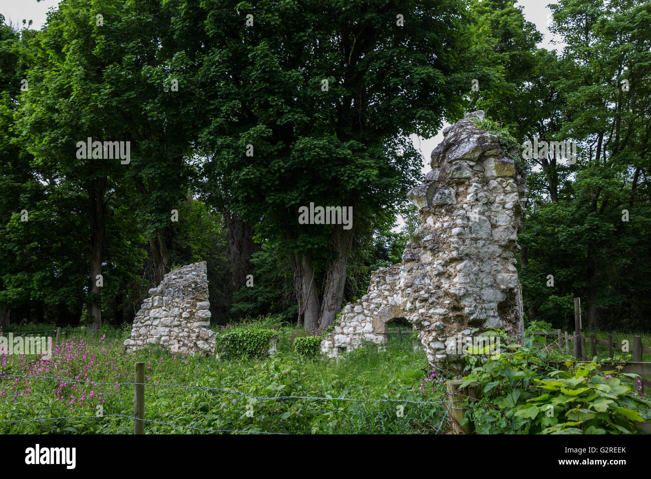 Wraysbury, UK. 23rd May, 2016. The ruins of St Mary's Priory, a ...