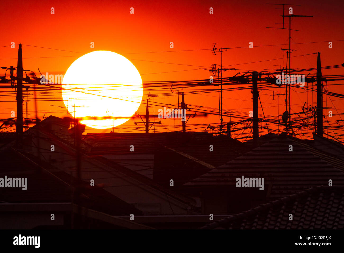 Sunset over rooftops and TV aerials in suburban Tokyo. Tsukushino ...