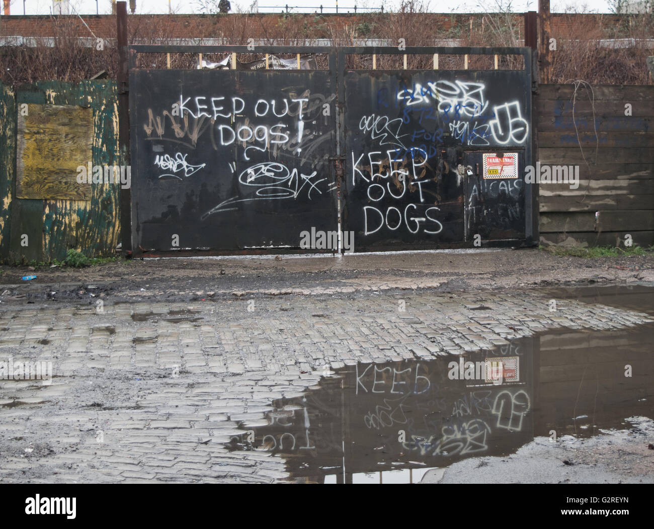 Graffiti covered gate Stock Photo - Alamy
