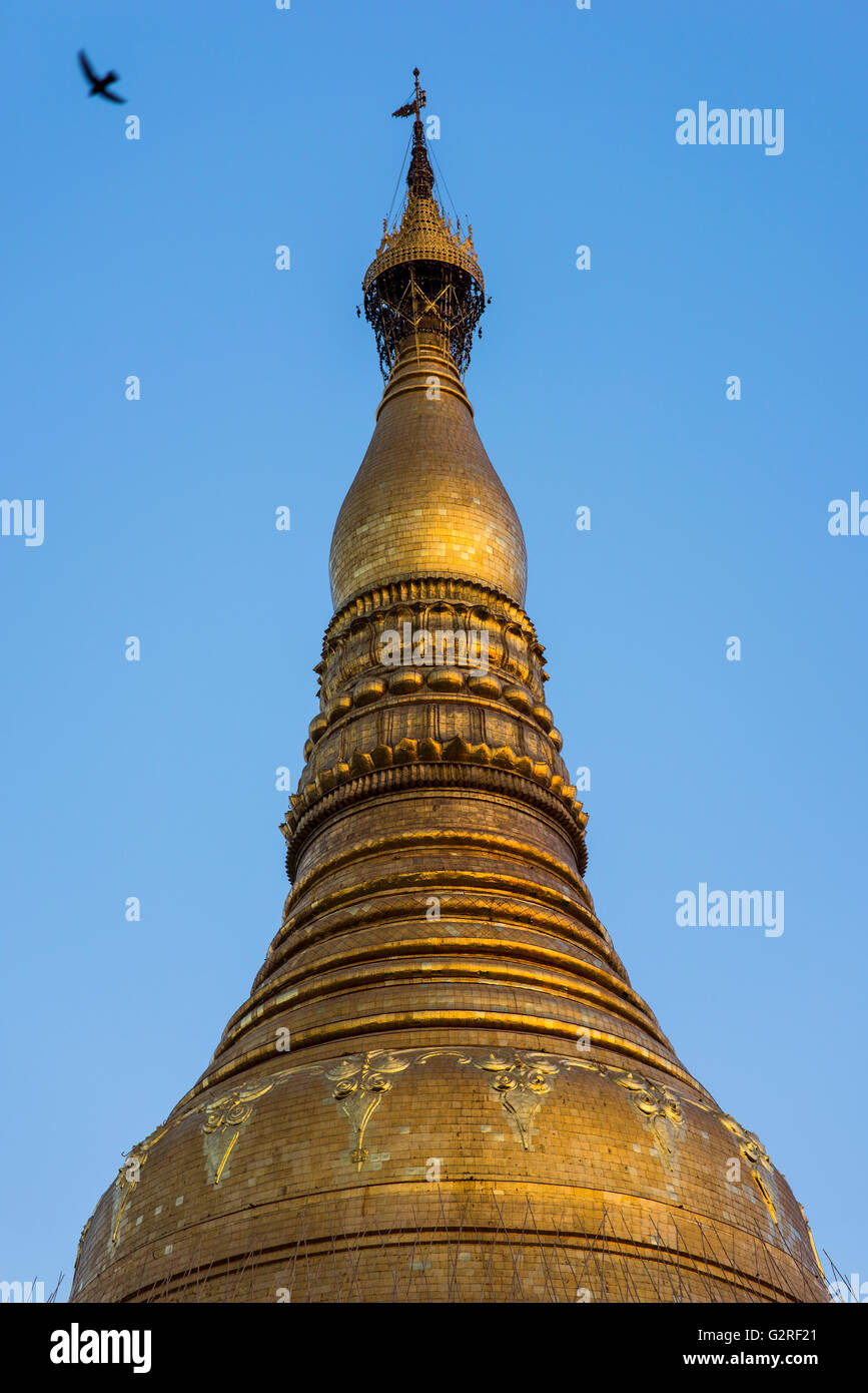 Shawedagon Pagoda, Yangon, Myanmar Stock Photo - Alamy