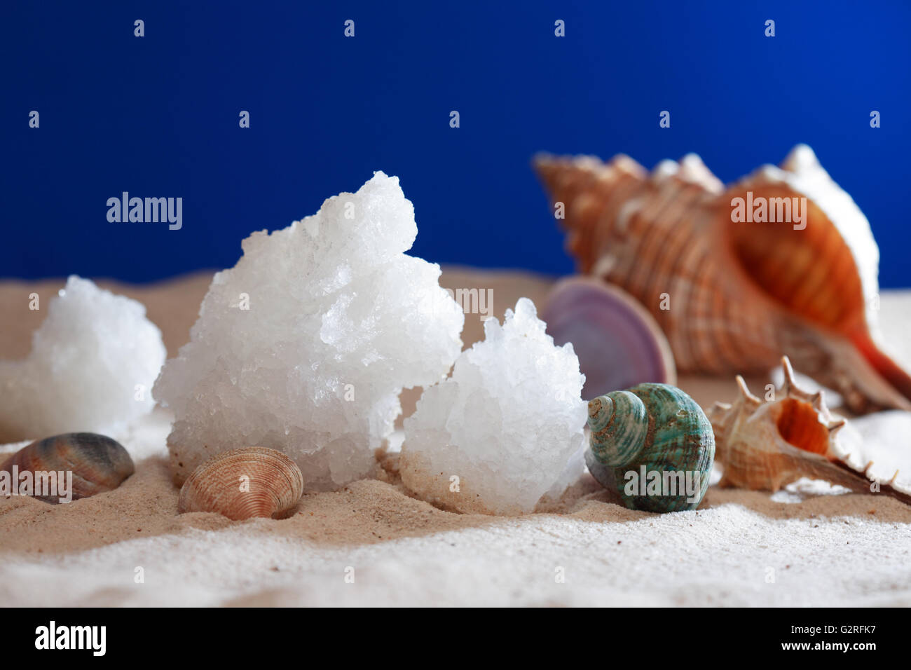 Pieces of genuine salt from Dead Sea on sand near shells Stock Photo ...