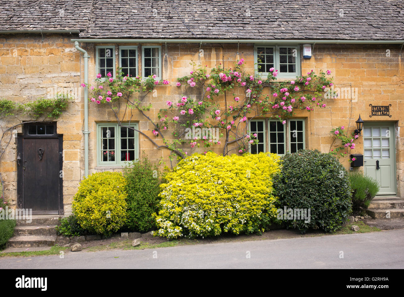 Cotswold stone cottage window surrounded with pink roses. Stanton ...