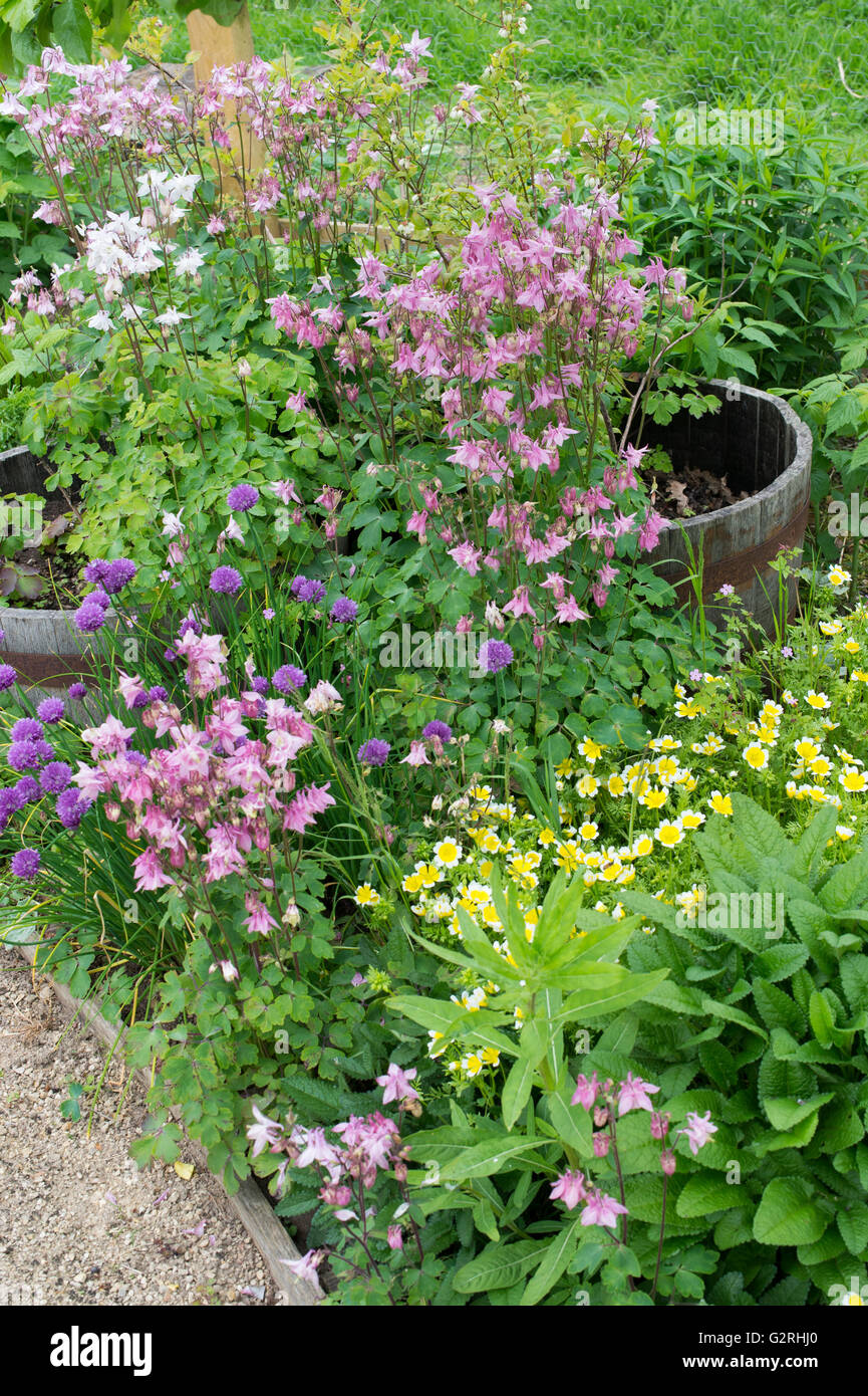 Ryton Organic gardens in spring. Warwickshire, England Stock Photo - Alamy