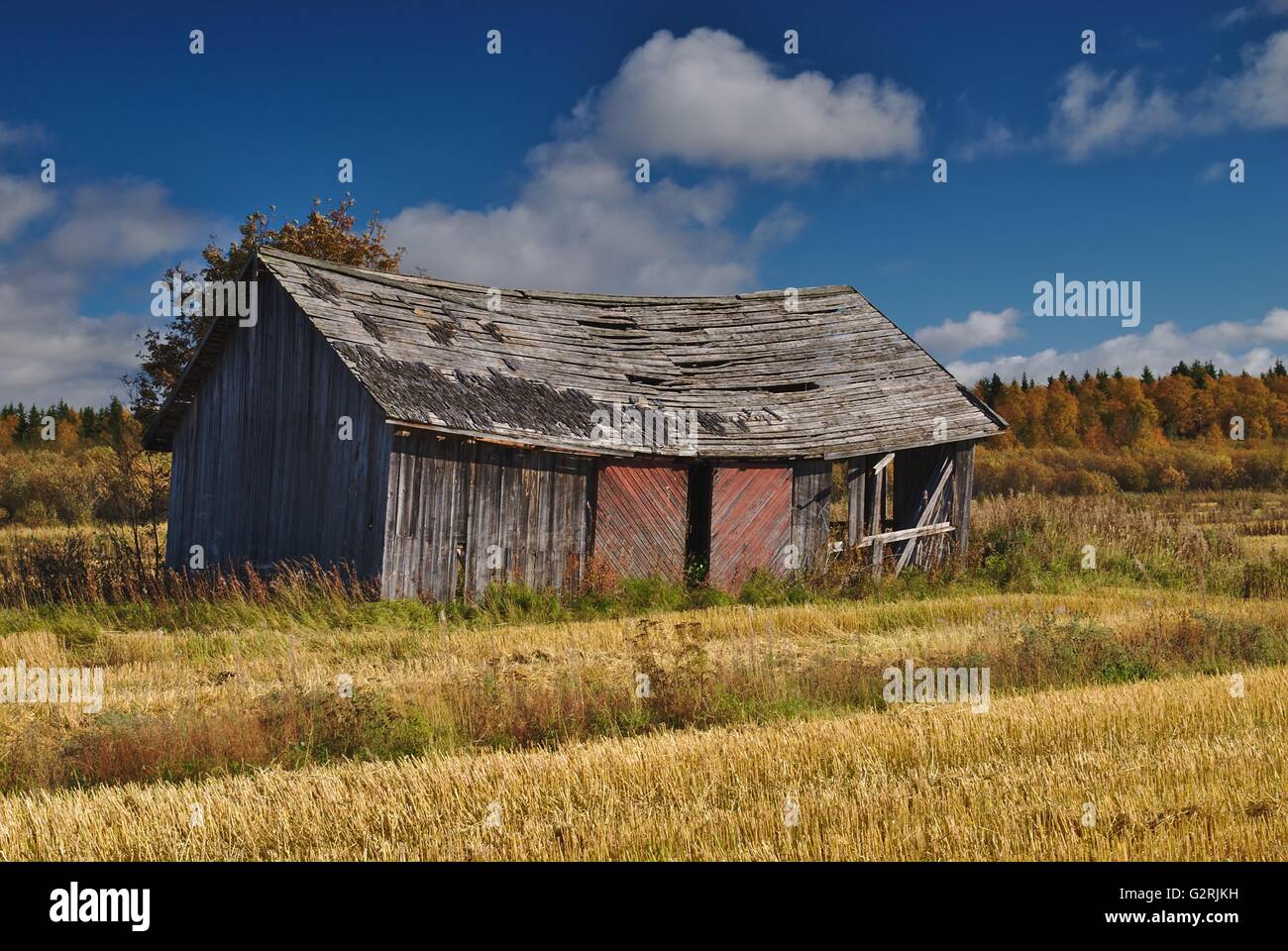 Old finnish barn in middle of field Stock Photo - Alamy