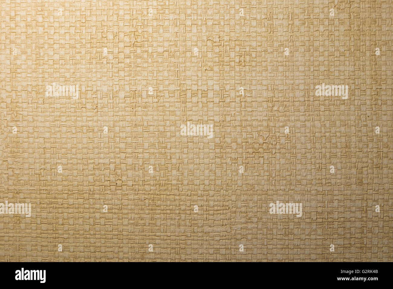 Papyrus Paper Texture