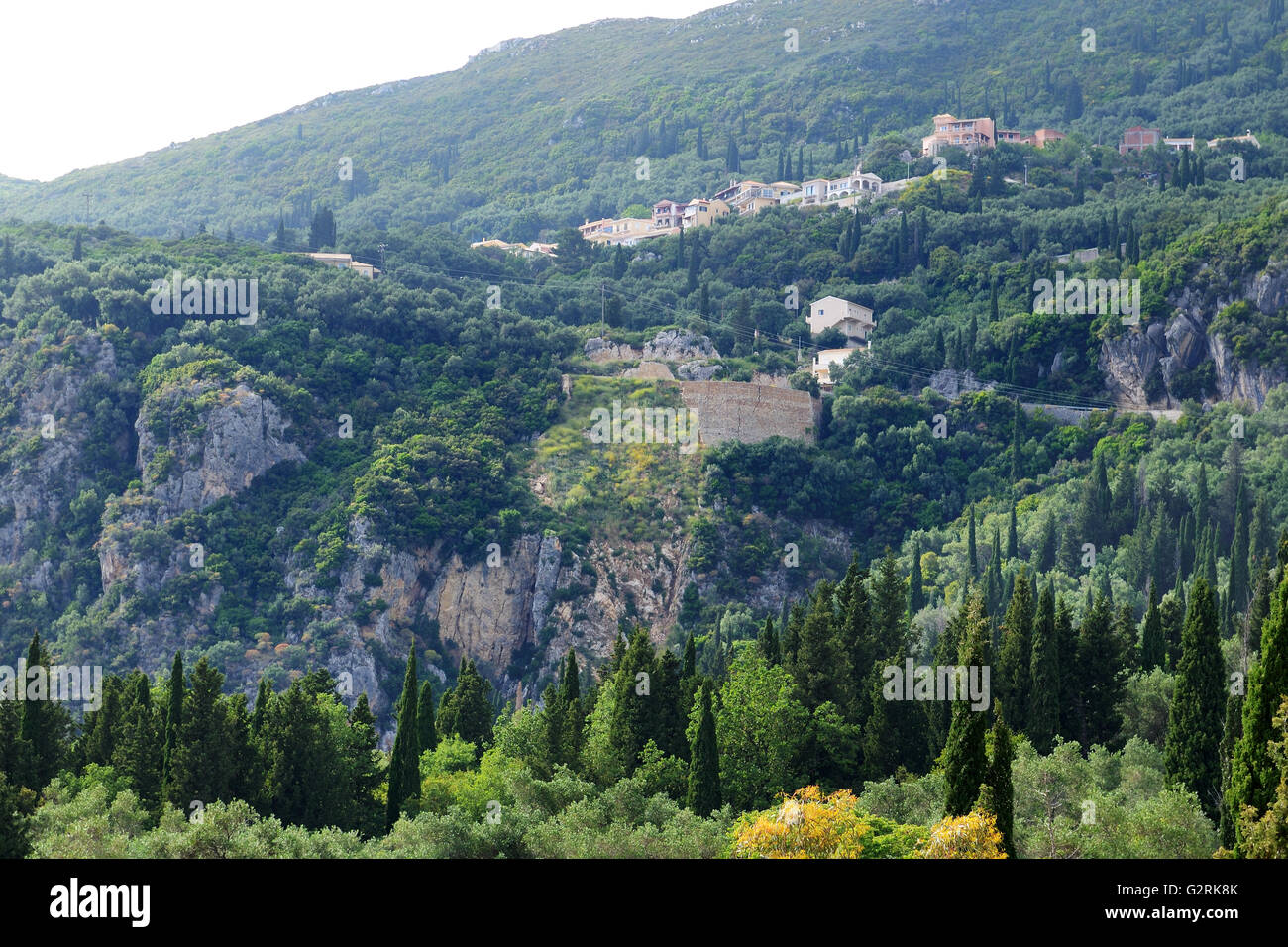 Greece cypress hi-res stock photography and images - Alamy