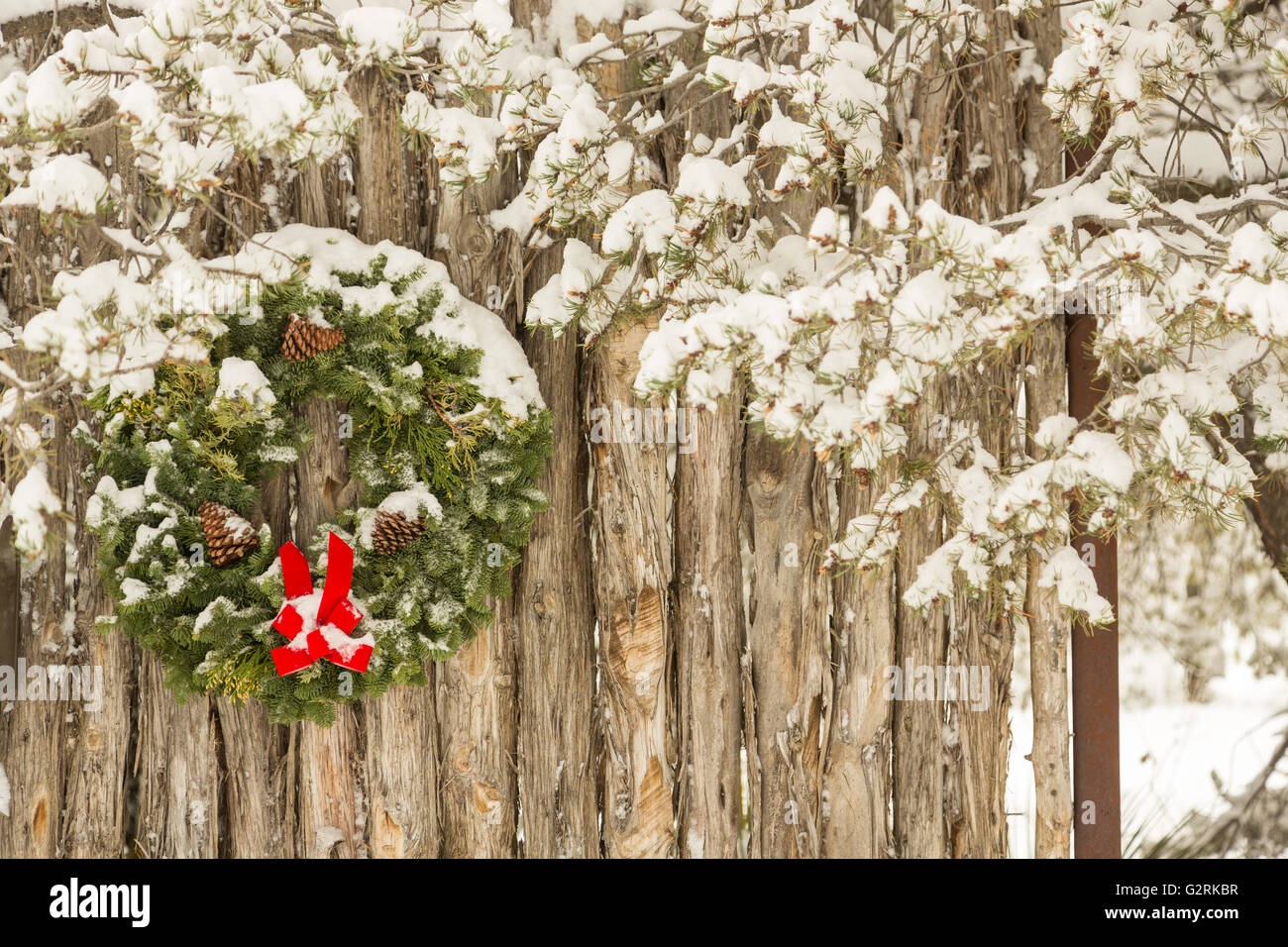 A Christmas wreath covered in snow on a primitive wood wall in the ...
