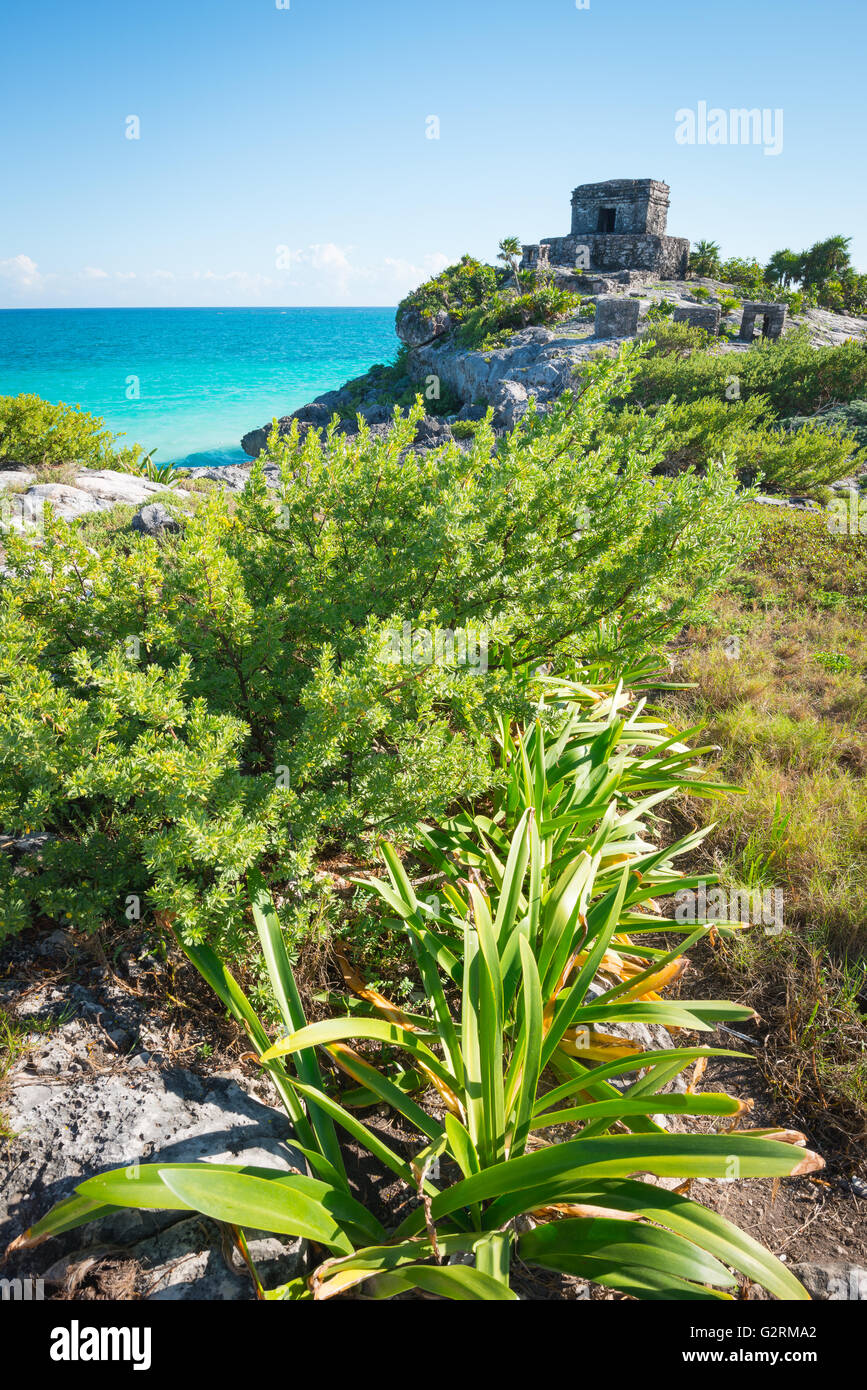 Ancient Aztec temples on the Mexican coast in Tulum Stock Photo - Alamy