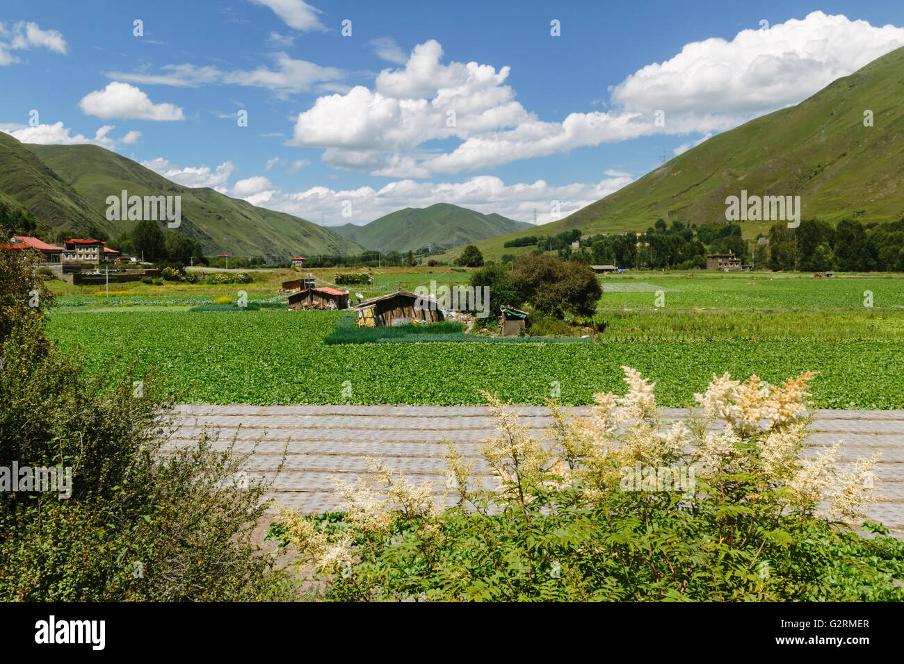 Xinduqiao, Sichuan province, China - the beautiful farmland view with ...
