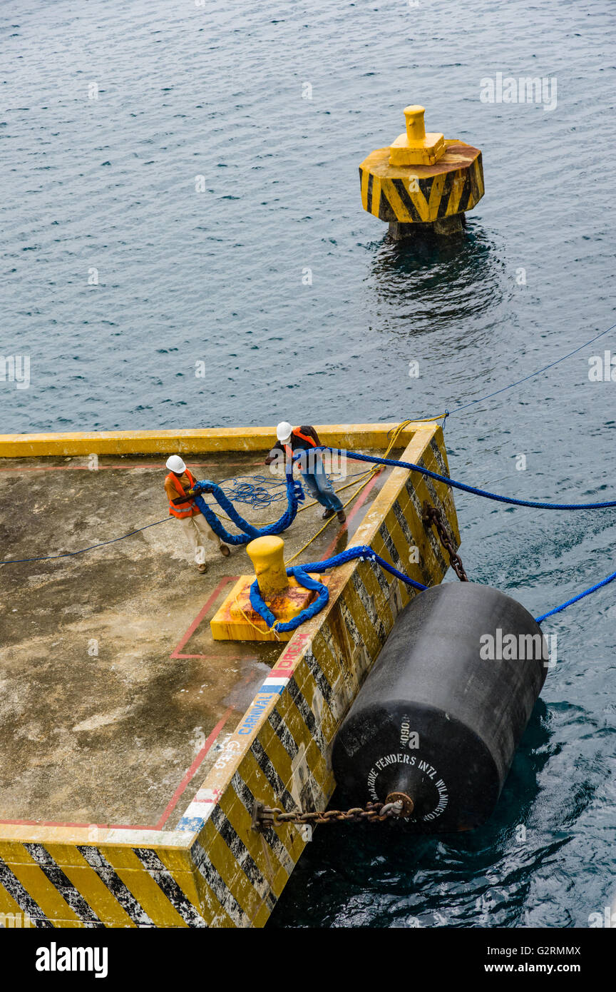 Workers pull ropes to assist a cruise ship docking at Port of Roatan ...