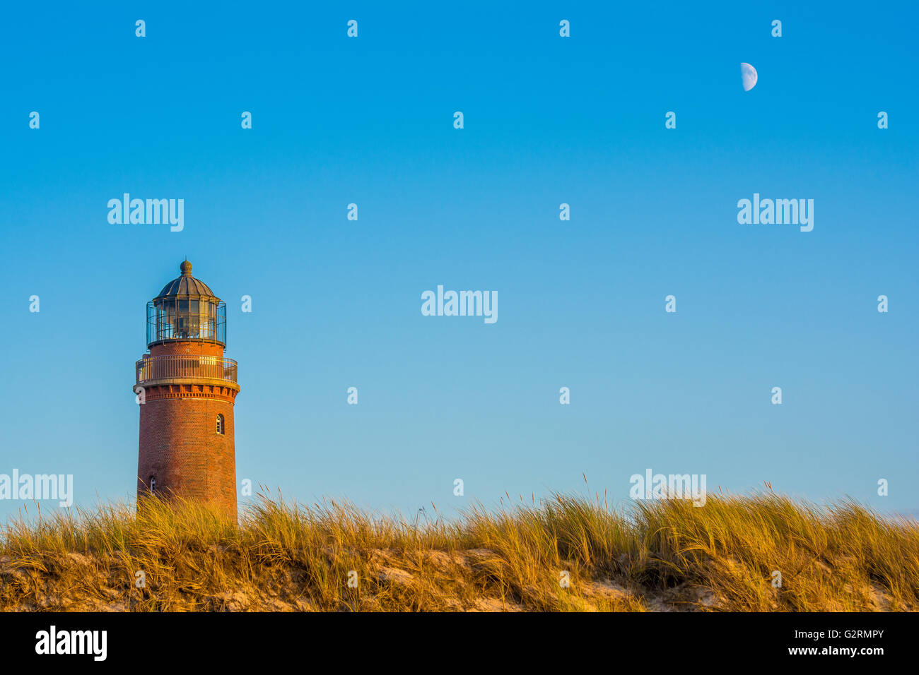 Darss peninsula hi-res stock photography and images - Alamy