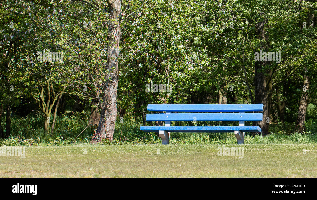 Blue bench in a public park, the Netherlands Stock Photo - Alamy