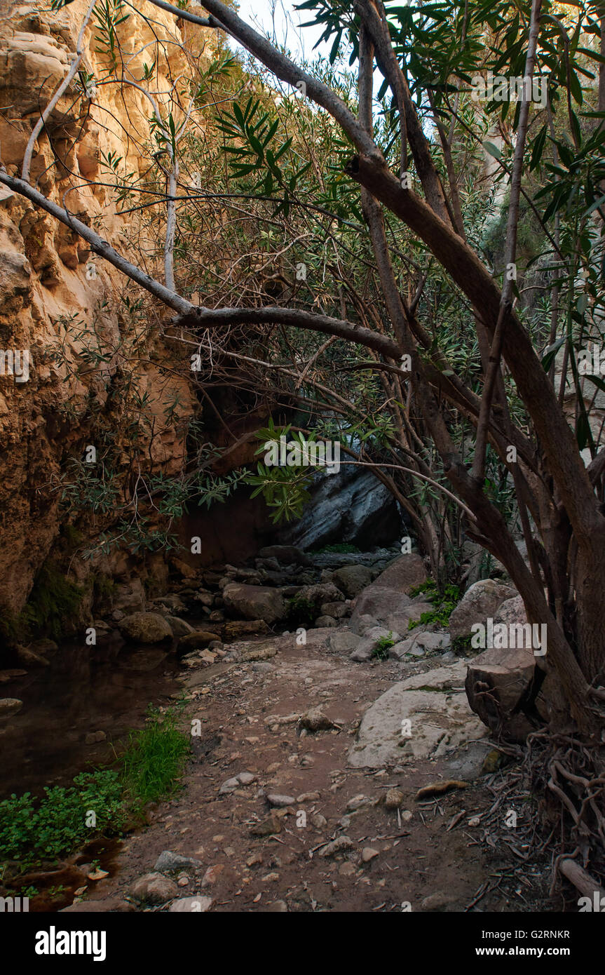 Nature landscape. Entrence in Avakas Canyon. Cyprus Stock Photo - Alamy