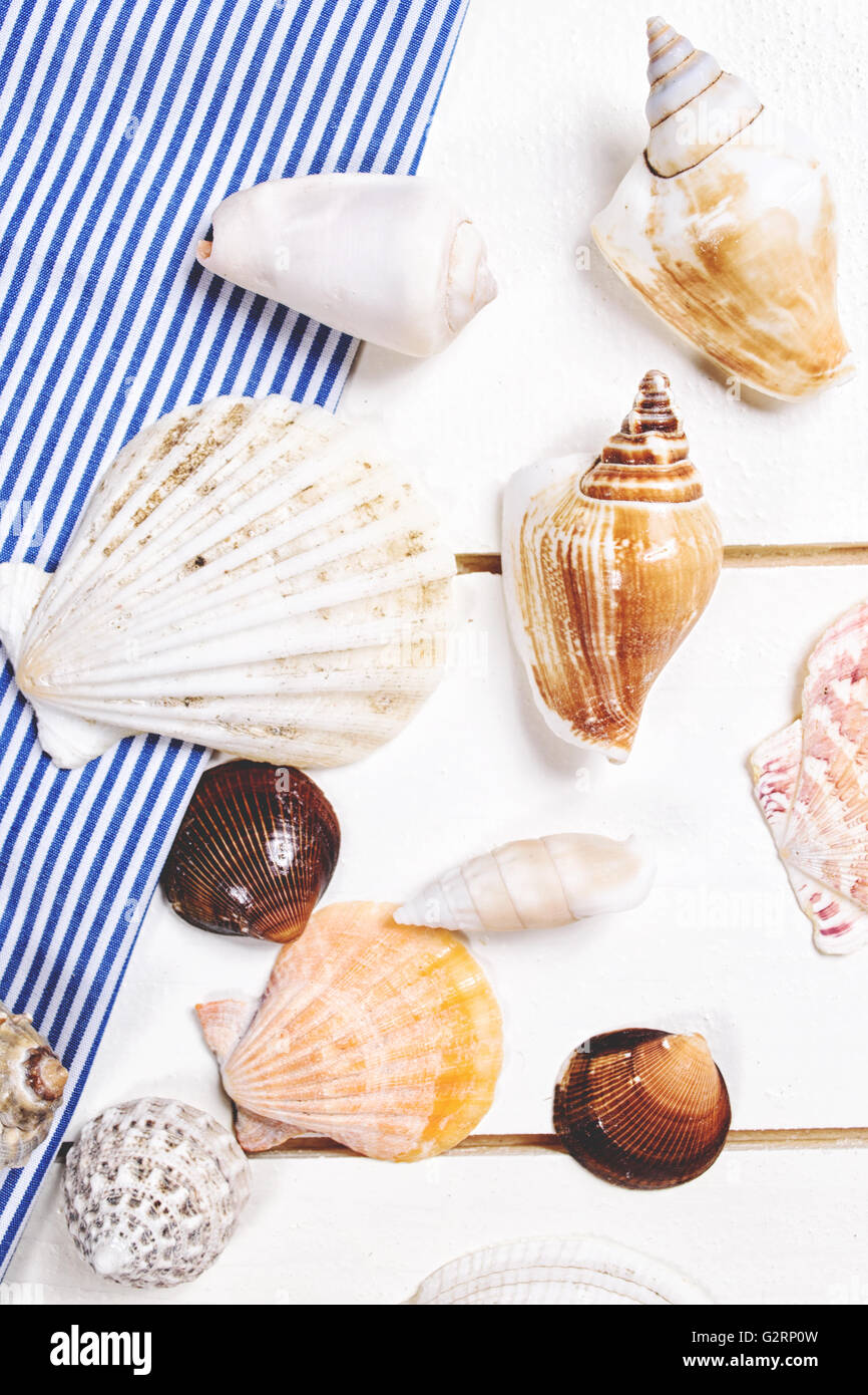 Summer background. Seashells Stock Photo - Alamy