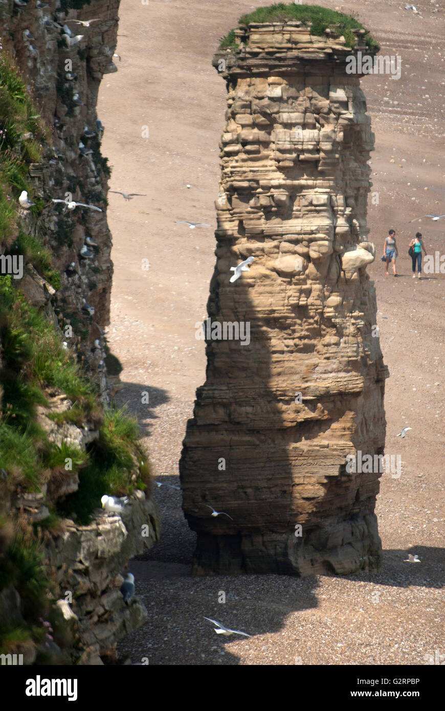 Lots wife stack / Marsden bay / The Leas, South Shields Stock Photo - Alamy