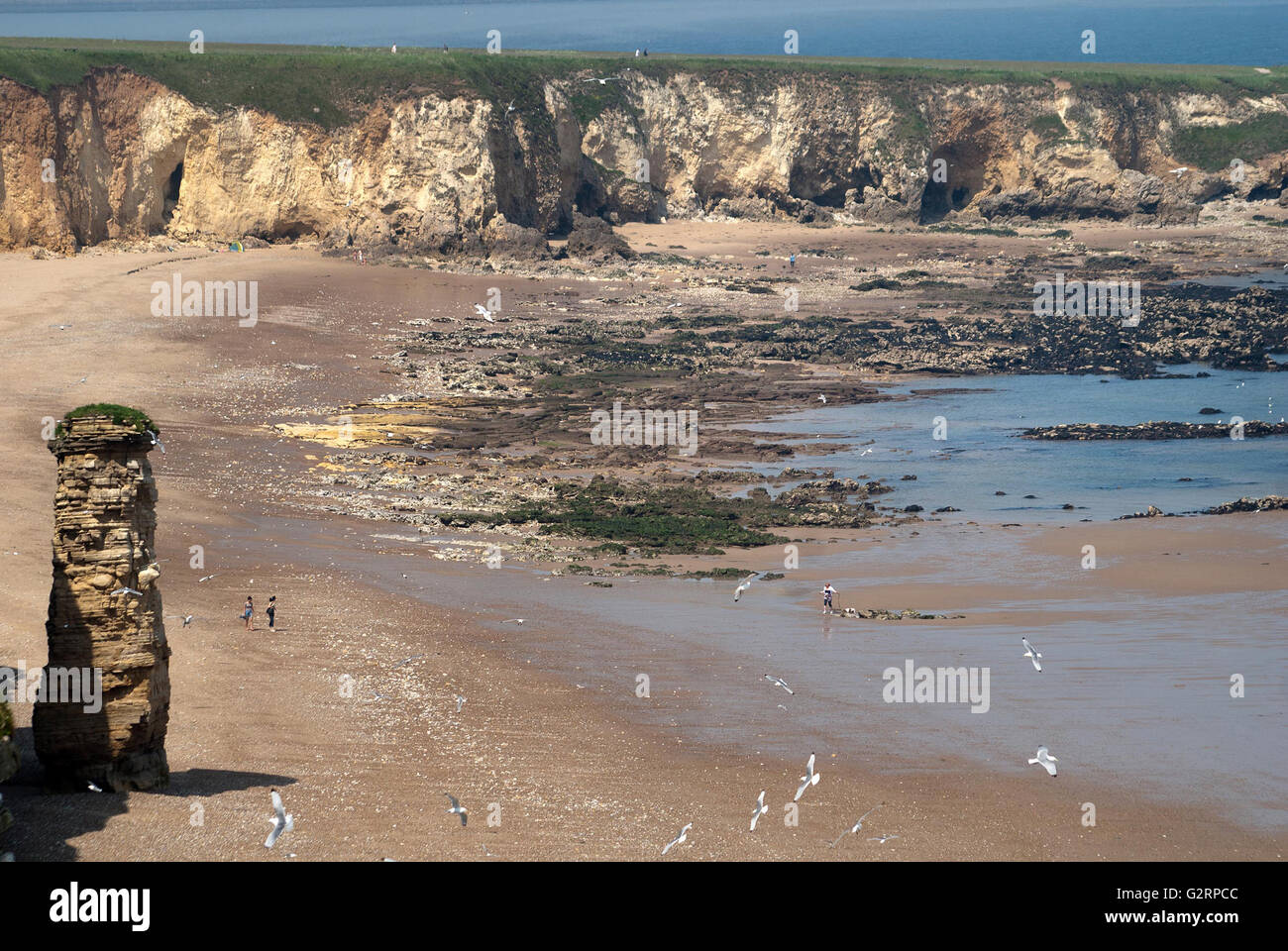 Lots wife stack / Marsden bay / The Leas, South Shields Stock Photo - Alamy