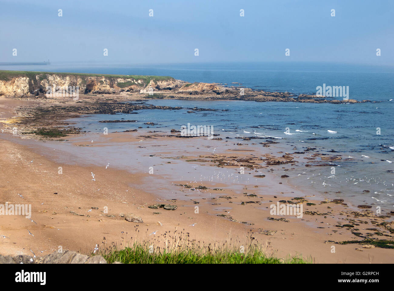 Marsden Bay, South Shields High Resolution Stock Photography and Images ...