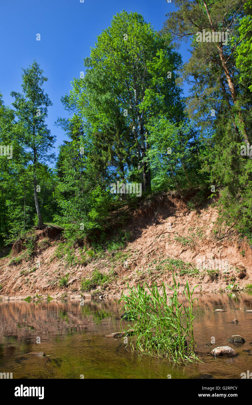 summer river scene Stock Photo - Alamy