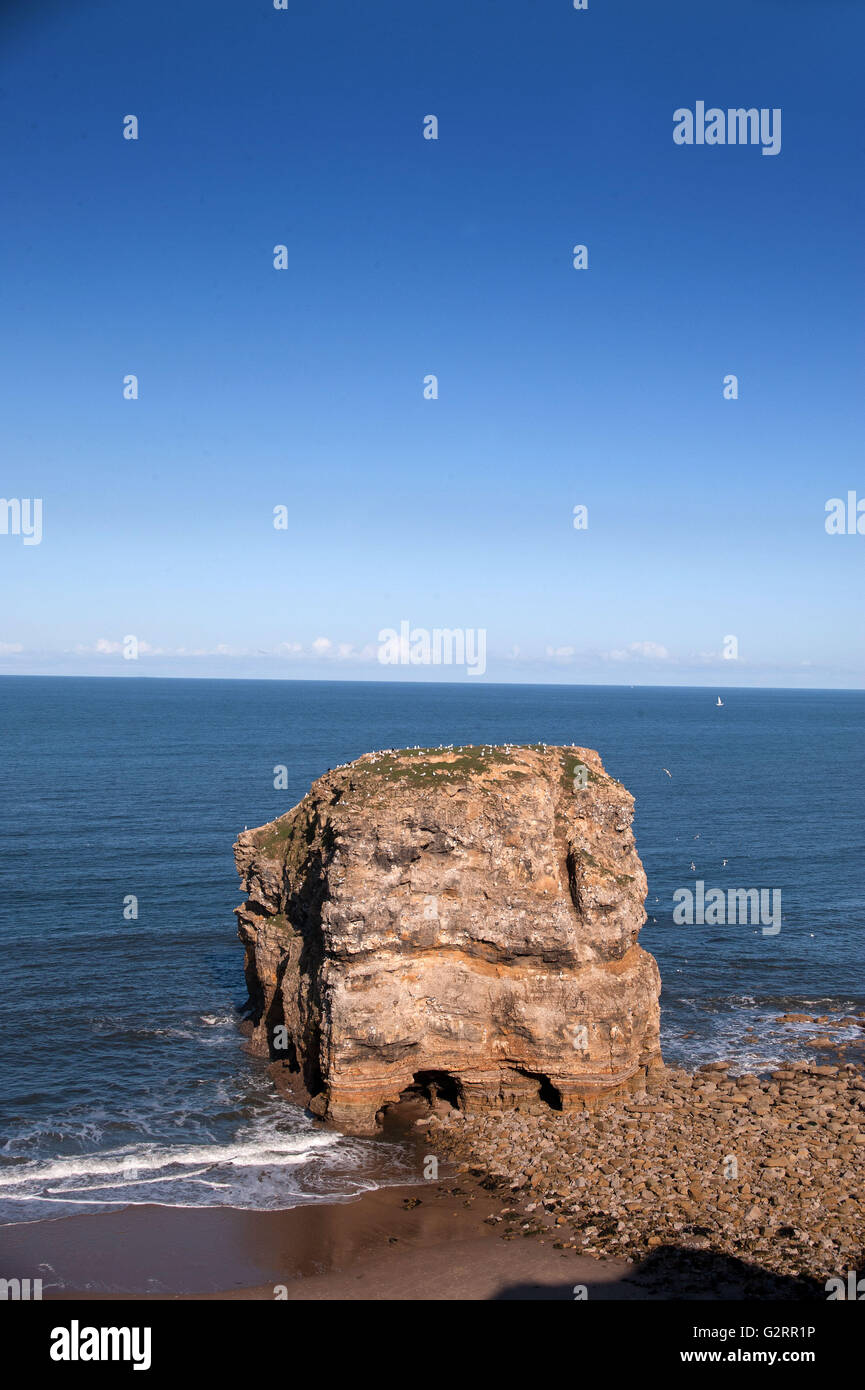 Marsden bay / The Leas, South Shields Stock Photo - Alamy