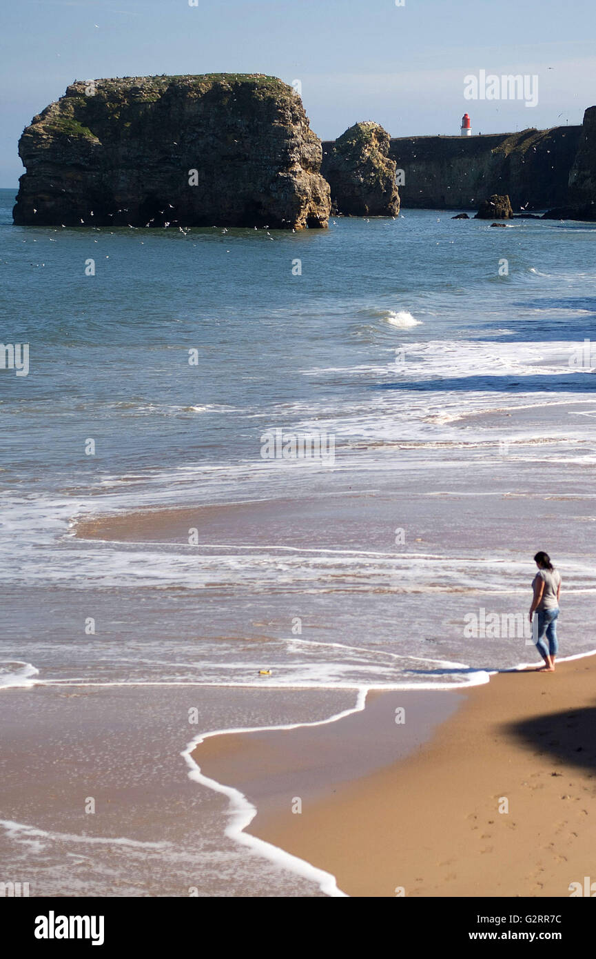 Marsden bay / The Leas, South Shields Stock Photo - Alamy