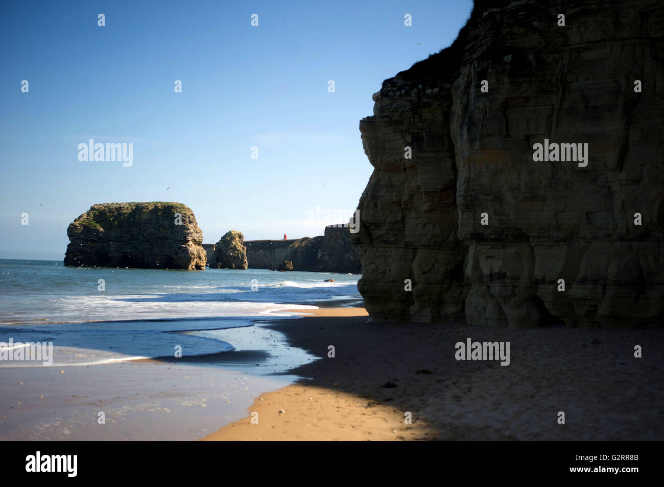 Marsden bay / The Leas, South Shields Stock Photo - Alamy