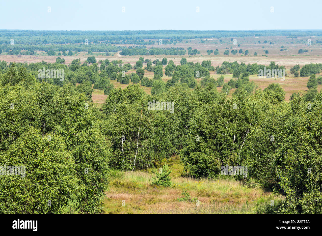 Altmark hi-res stock photography and images - Alamy