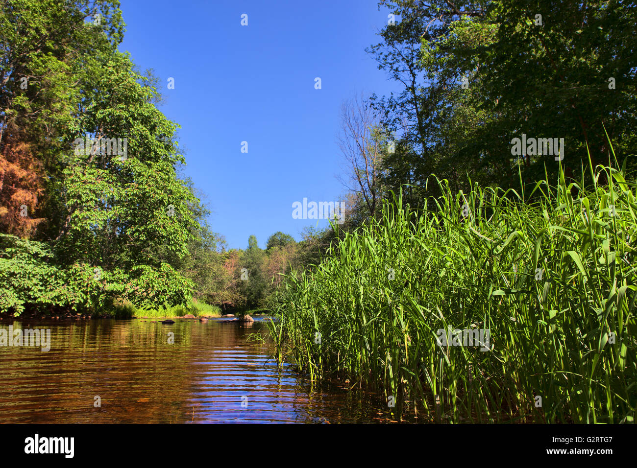 summer river scene Stock Photo - Alamy