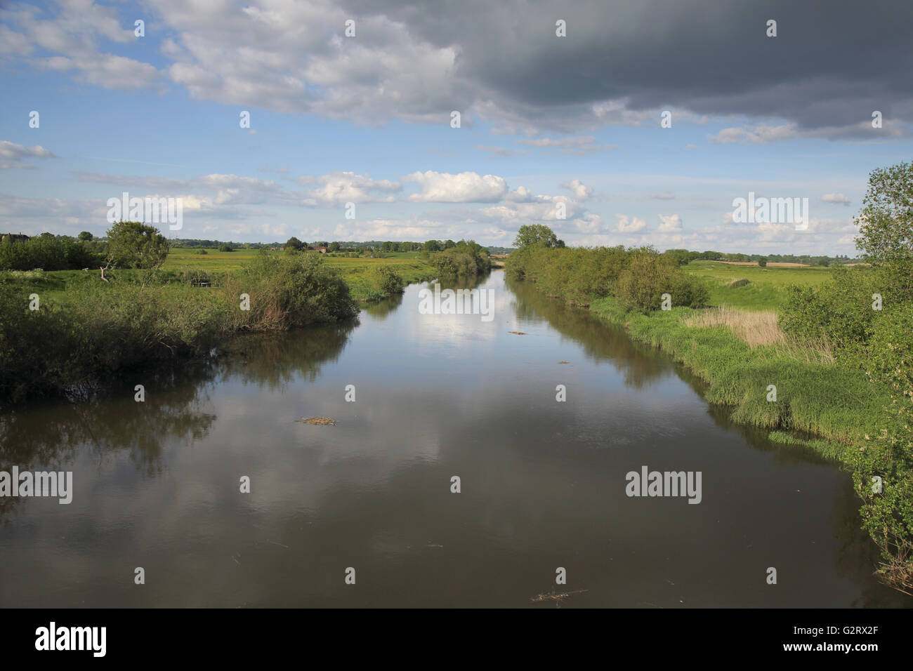 river arun in the sussex countryside Stock Photo - Alamy