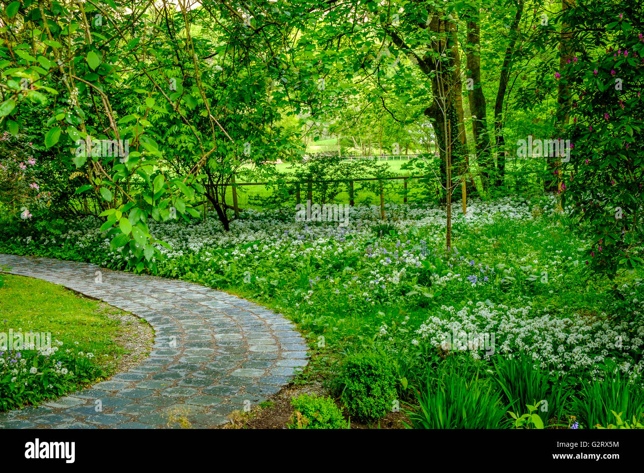 Wordsworth hi-res stock photography and images - Alamy