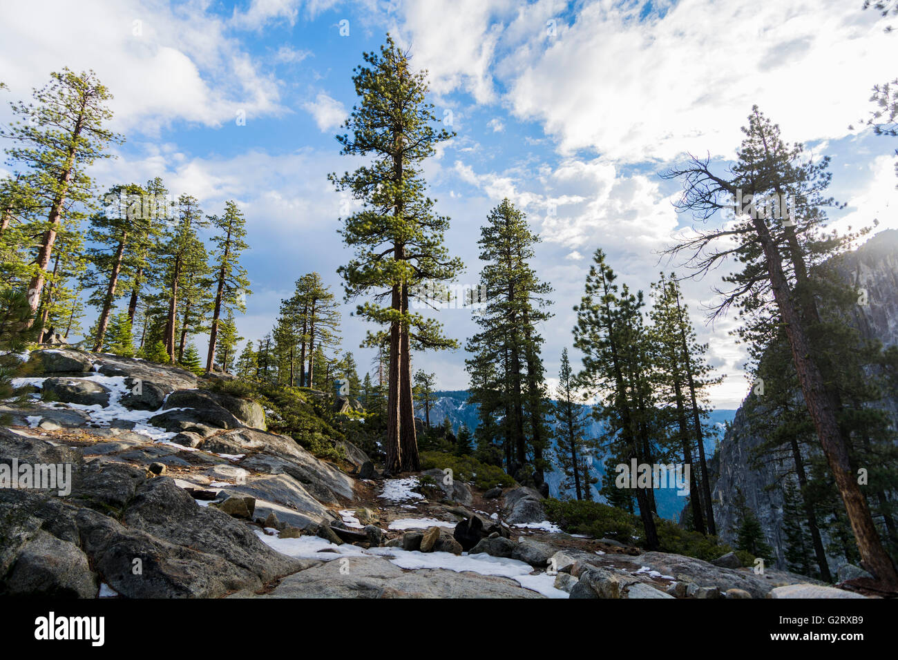 The pine trees atop of the mountains with the trail filled with snow ...