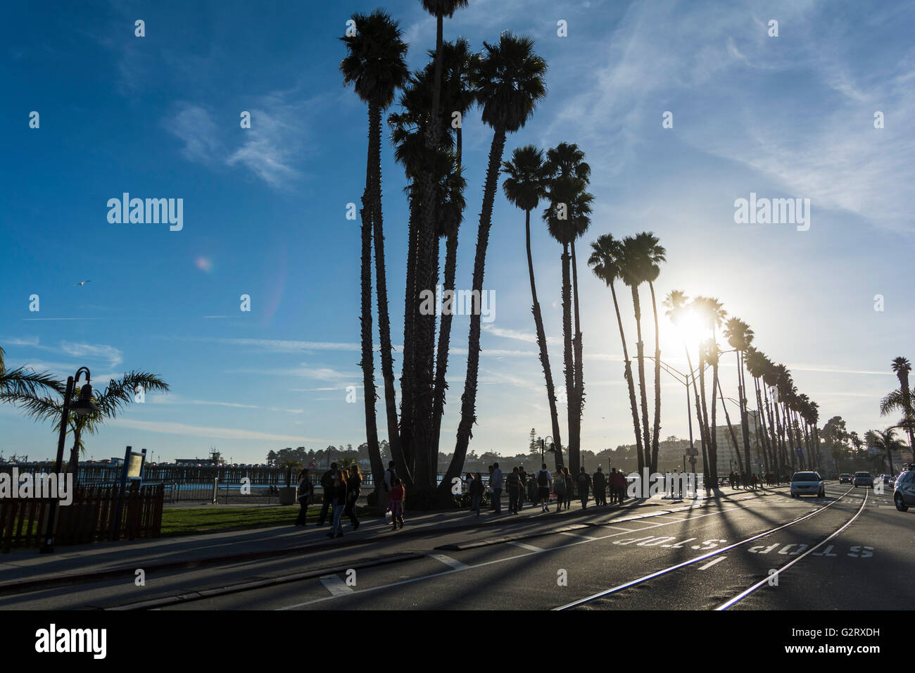 The street of Santa Cruz, the cars, a group of people, sunset and the ...