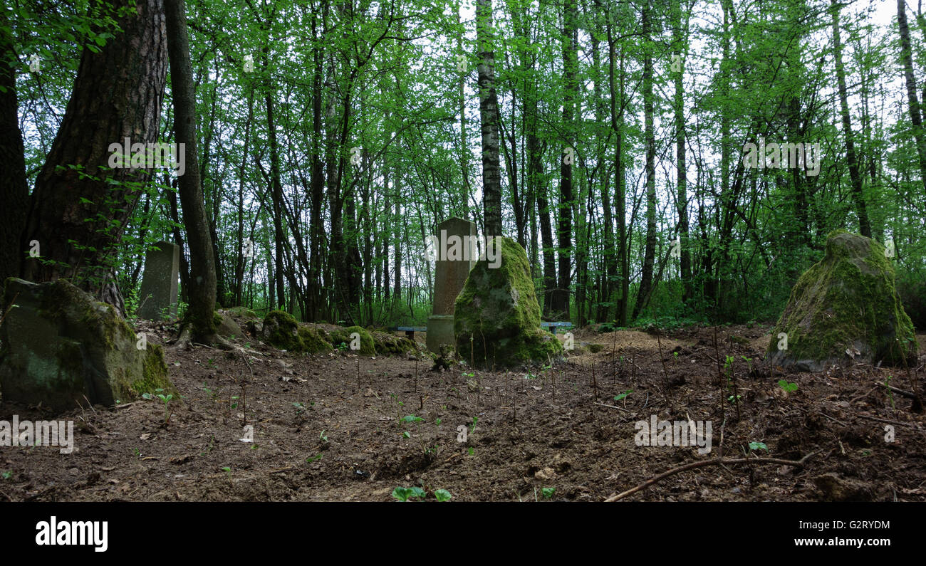 old cemetery with trees and mossy rocks Stock Photo - Alamy