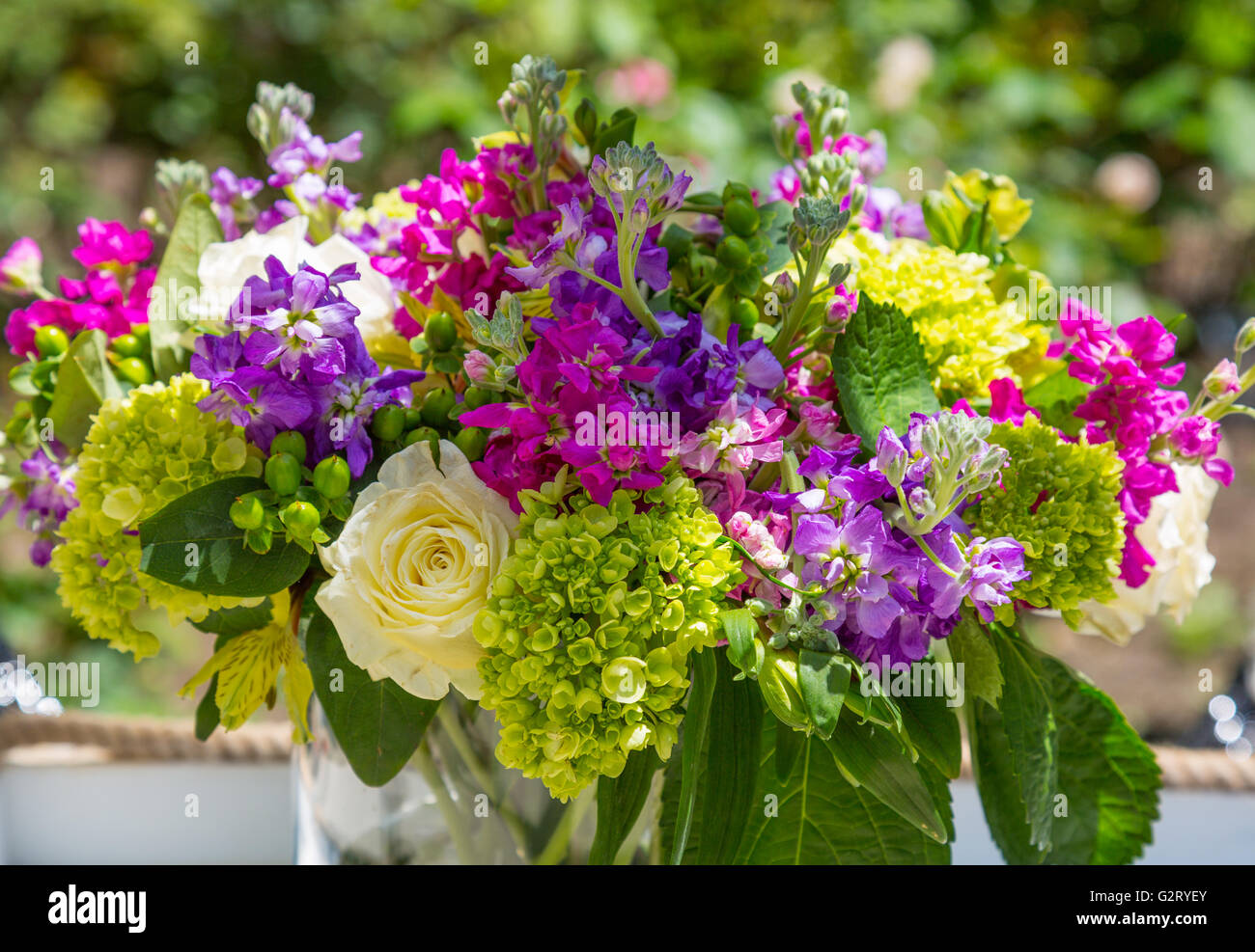 Open cut flowers hi-res stock photography and images - Alamy