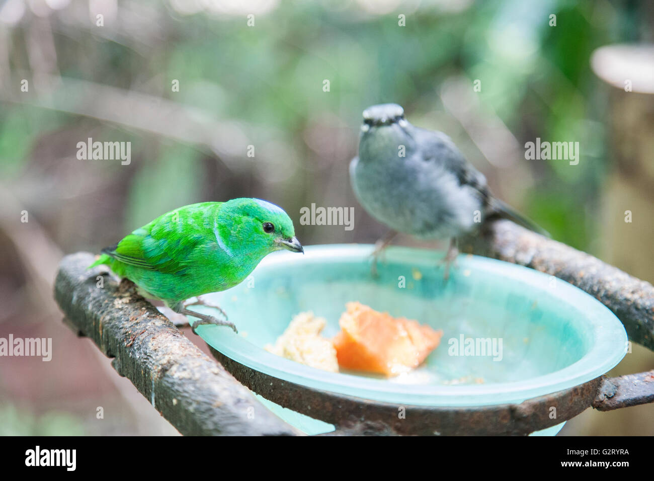 El Nido park in Ixtapaluca Mexico Stock Photo - Alamy