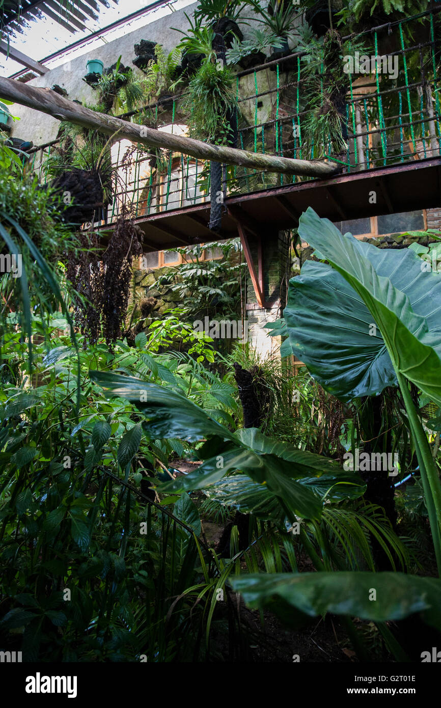 Ixtapaluca hi-res stock photography and images - Alamy