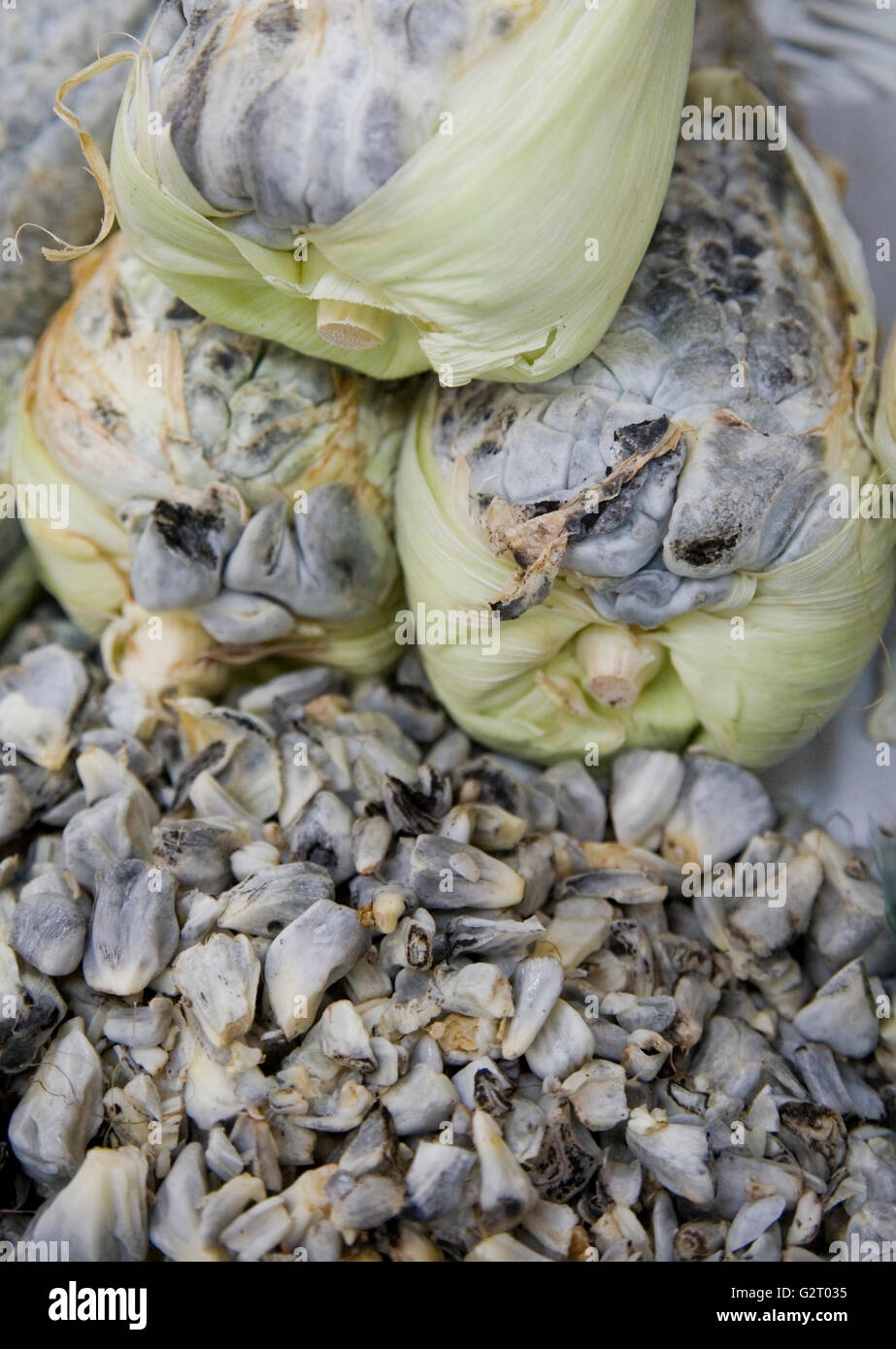 Huitlacoche, Corn Smut, in a market in Mexico city Stock Photo - Alamy