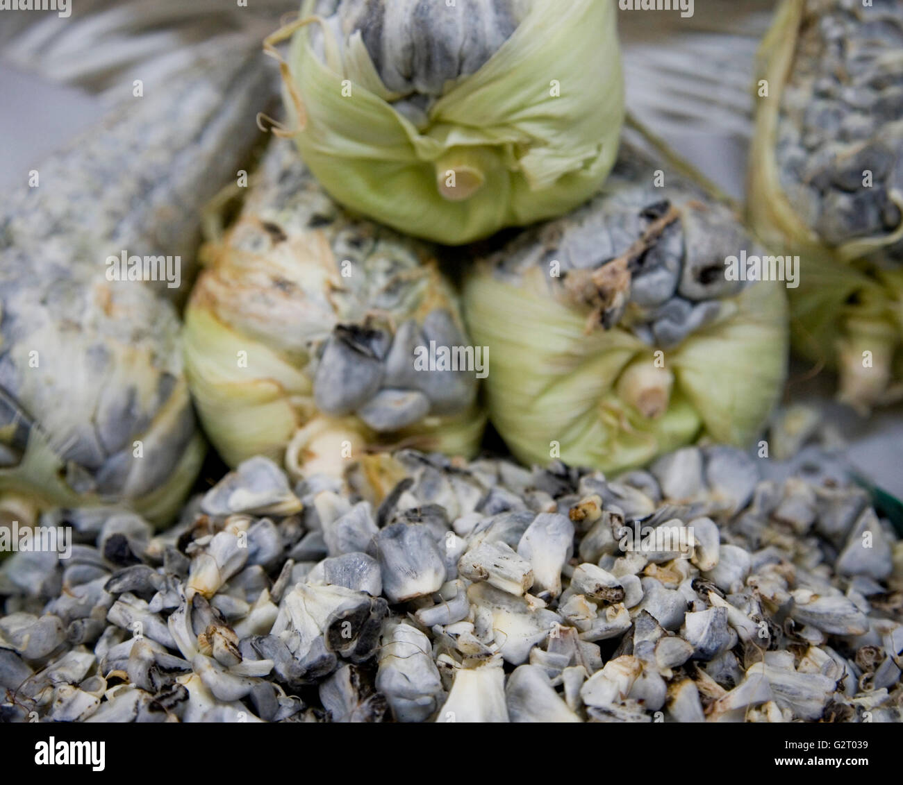 Huitlacoche, Corn Smut, in a market in Mexico city Stock Photo - Alamy