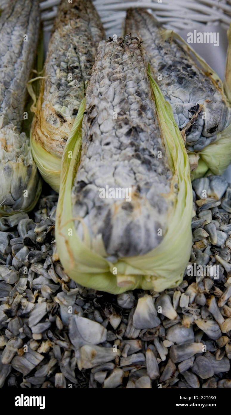 Corn fungus delicacy hi-res stock photography and images - Alamy