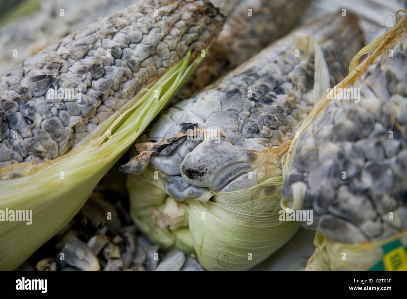 Huitlacoche, Corn Smut, in a market in Mexico city Stock Photo - Alamy