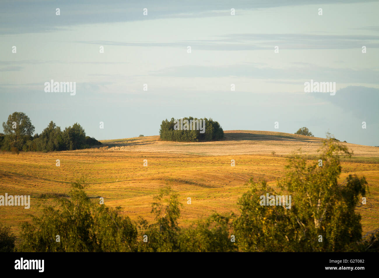 autumn hills of Eastern Europe. beautiful landscapes Stock Photo - Alamy